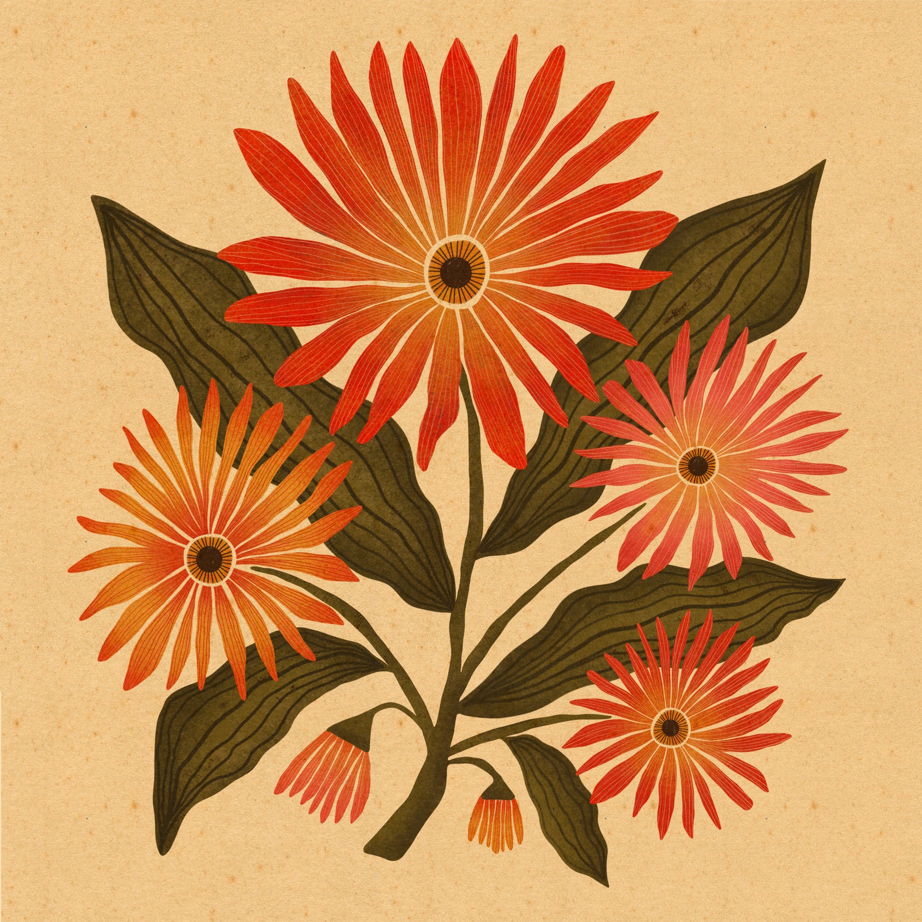 Illustrated Floral Art | Lizzy Art Print | High West Wild