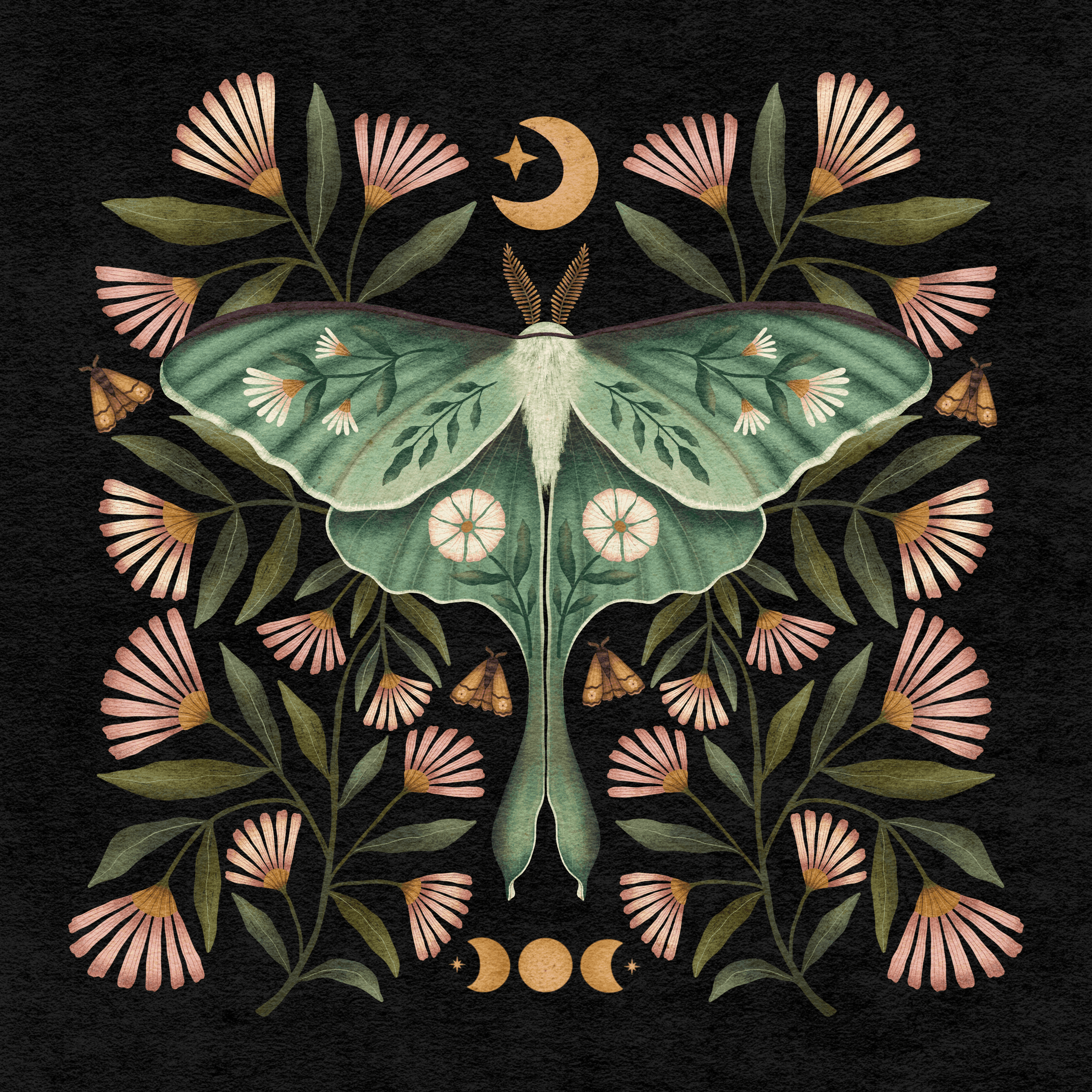 Luna Moth