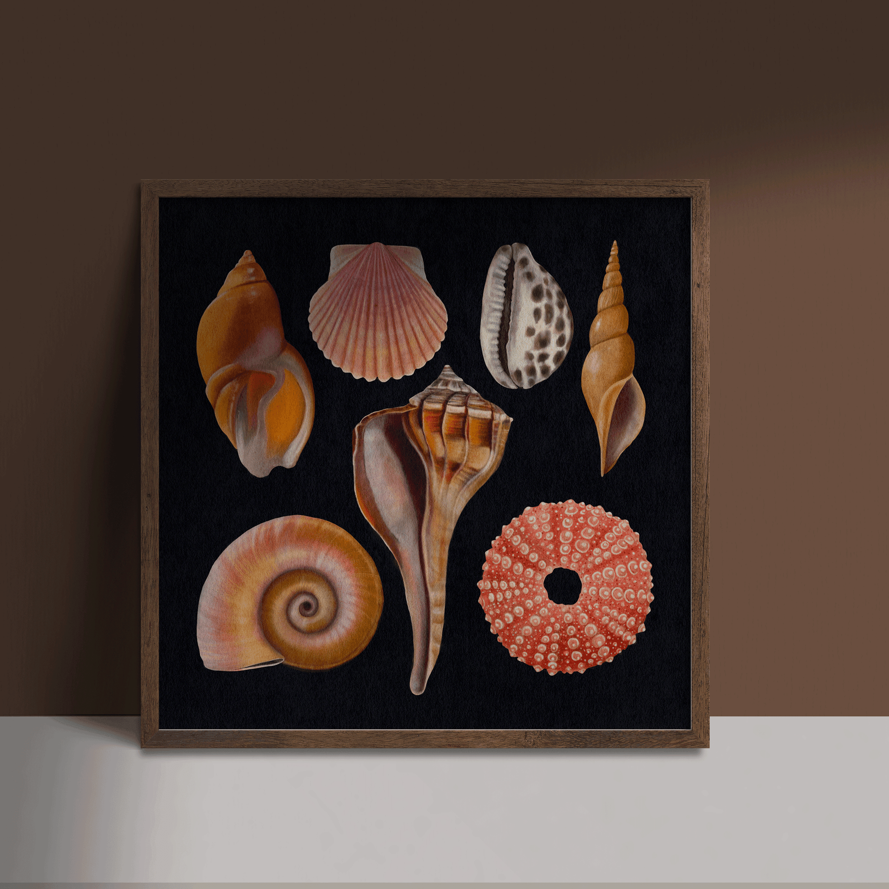 Vintage Botanical Seashell Illustration by Rebecca Zwanzig of High West ...