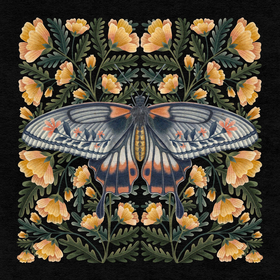 Moth Illustration | Solstice Moth Art Print | High West Wild